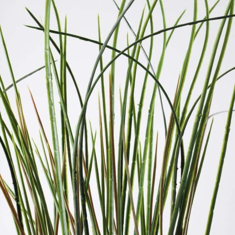 Essen Speciality Films Ltd.